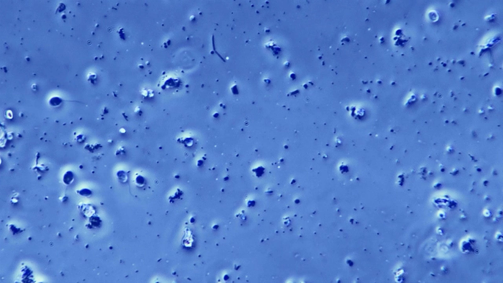 Postgraduate & Post-Experience | UWS | University of the West of Scotland