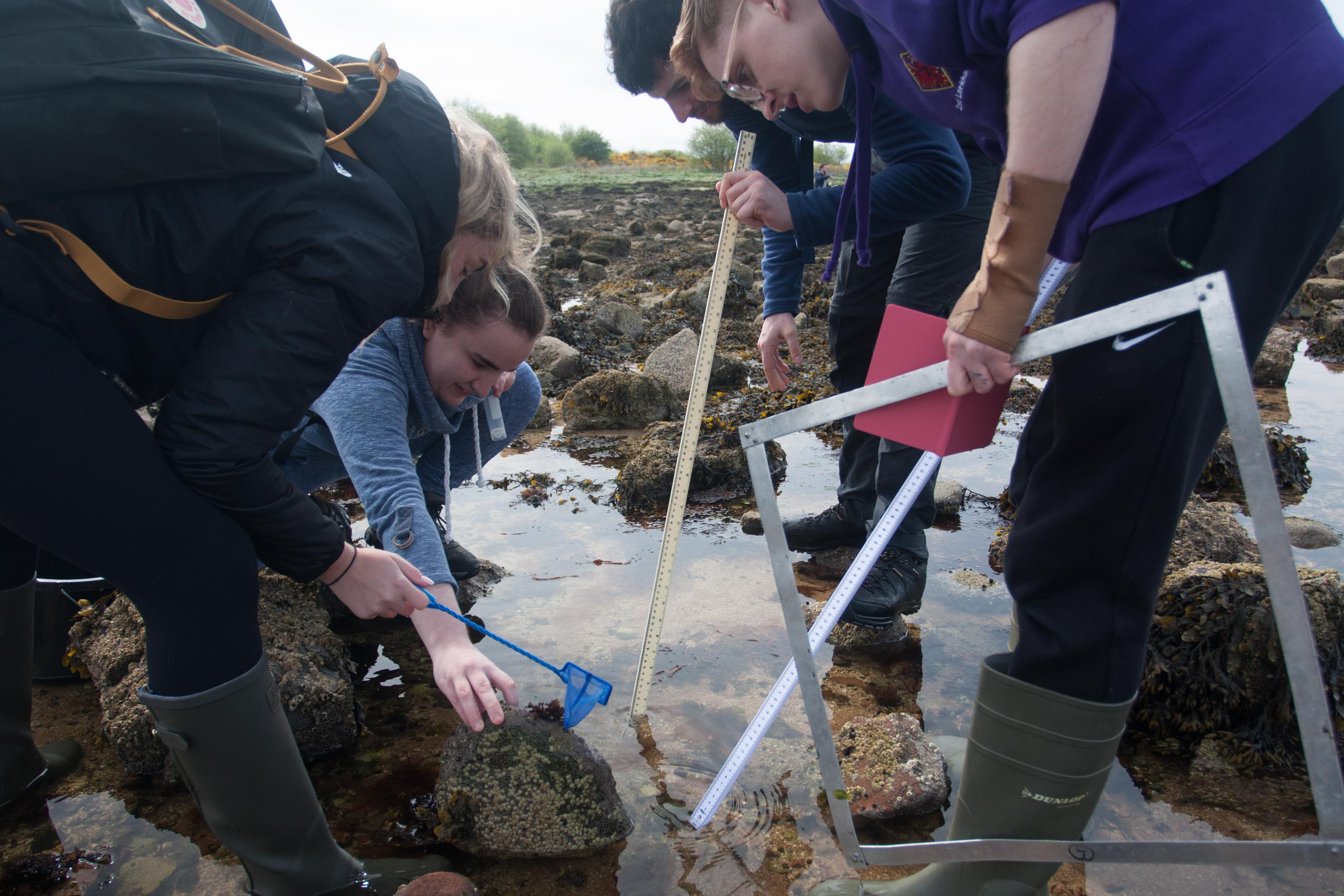 BSc Applied Bioscience & Zoology | UWS | University of the West of Scotland